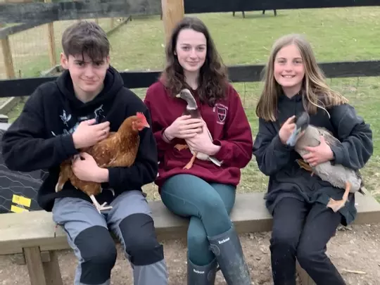 Inclusive Farm | Inclusive Farm